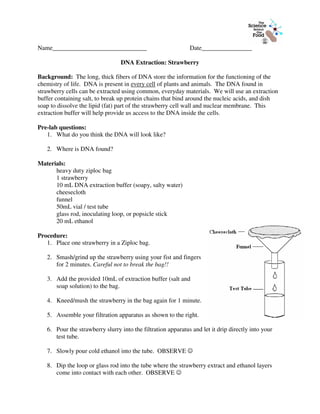 Dna lab strawberry from msmartin | PDF