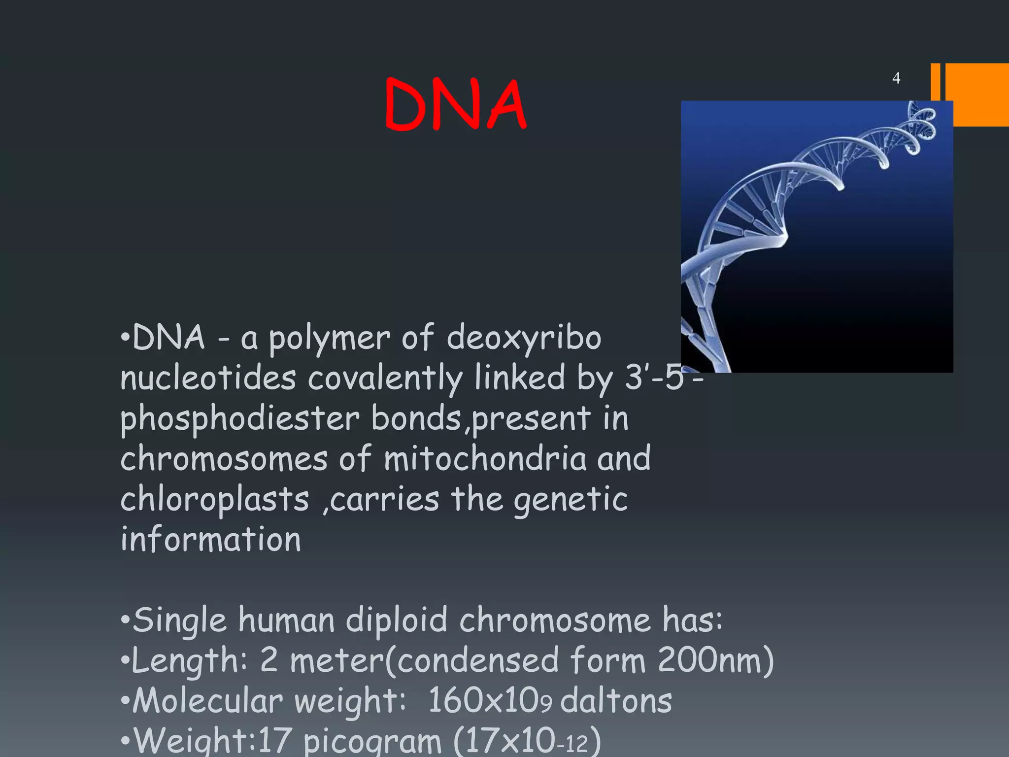 DNA CHEMISTRY | PPT