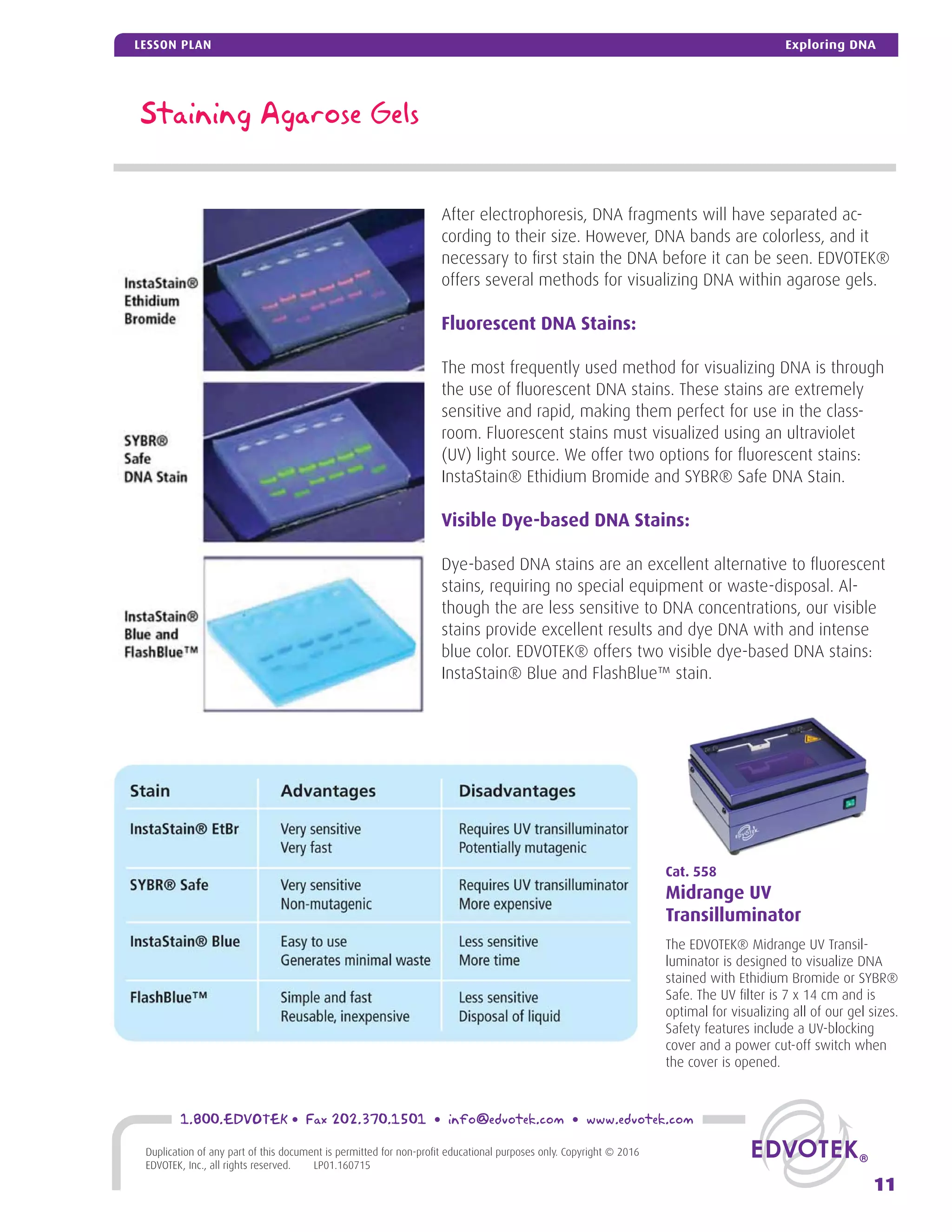 Exploring DNA Lesson Plan | PDF