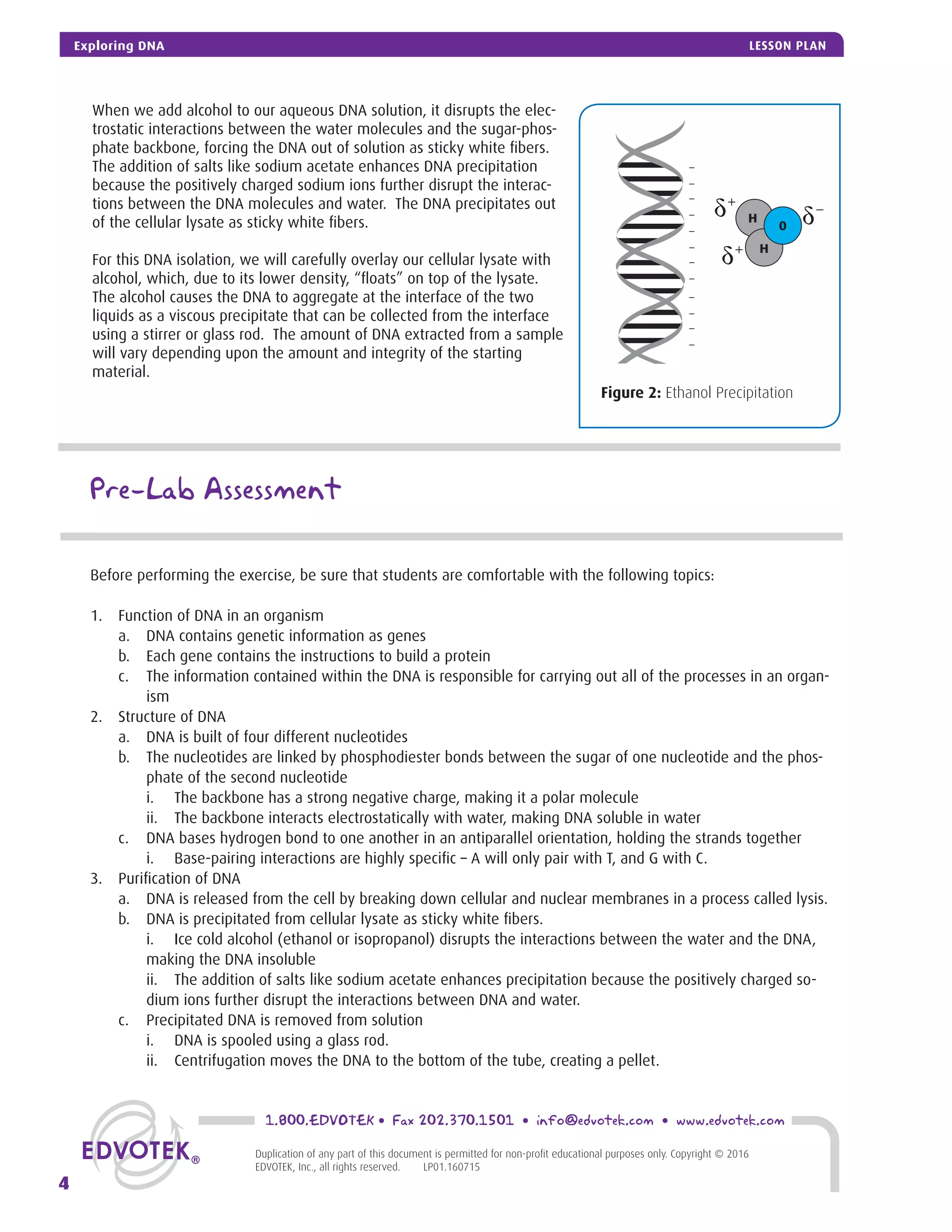 Exploring DNA Lesson Plan | PDF