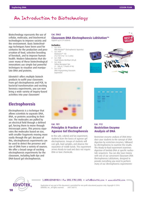 Exploring DNA Lesson Plan | PDF