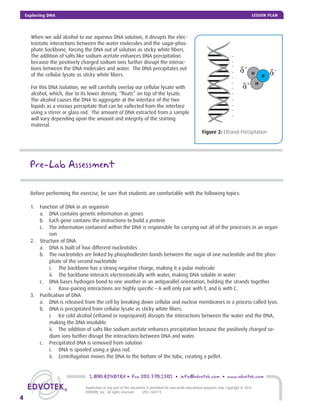 Exploring DNA Lesson Plan | PDF