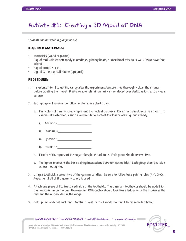 Exploring DNA Lesson Plan | PDF