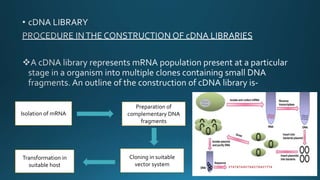 Dna libraries | PPT