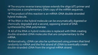 Dna libraries | PPT