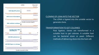 Dna libraries | PPT