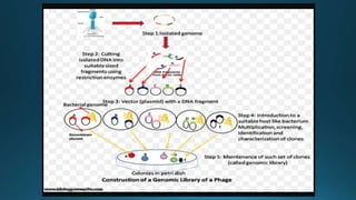 Dna libraries | PPT
