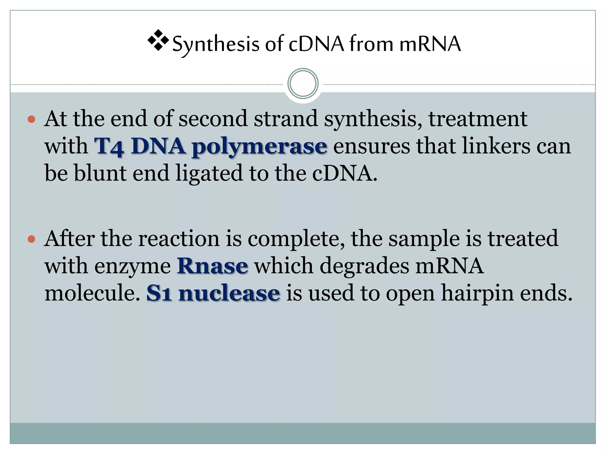 DNA Libraries | PPTX