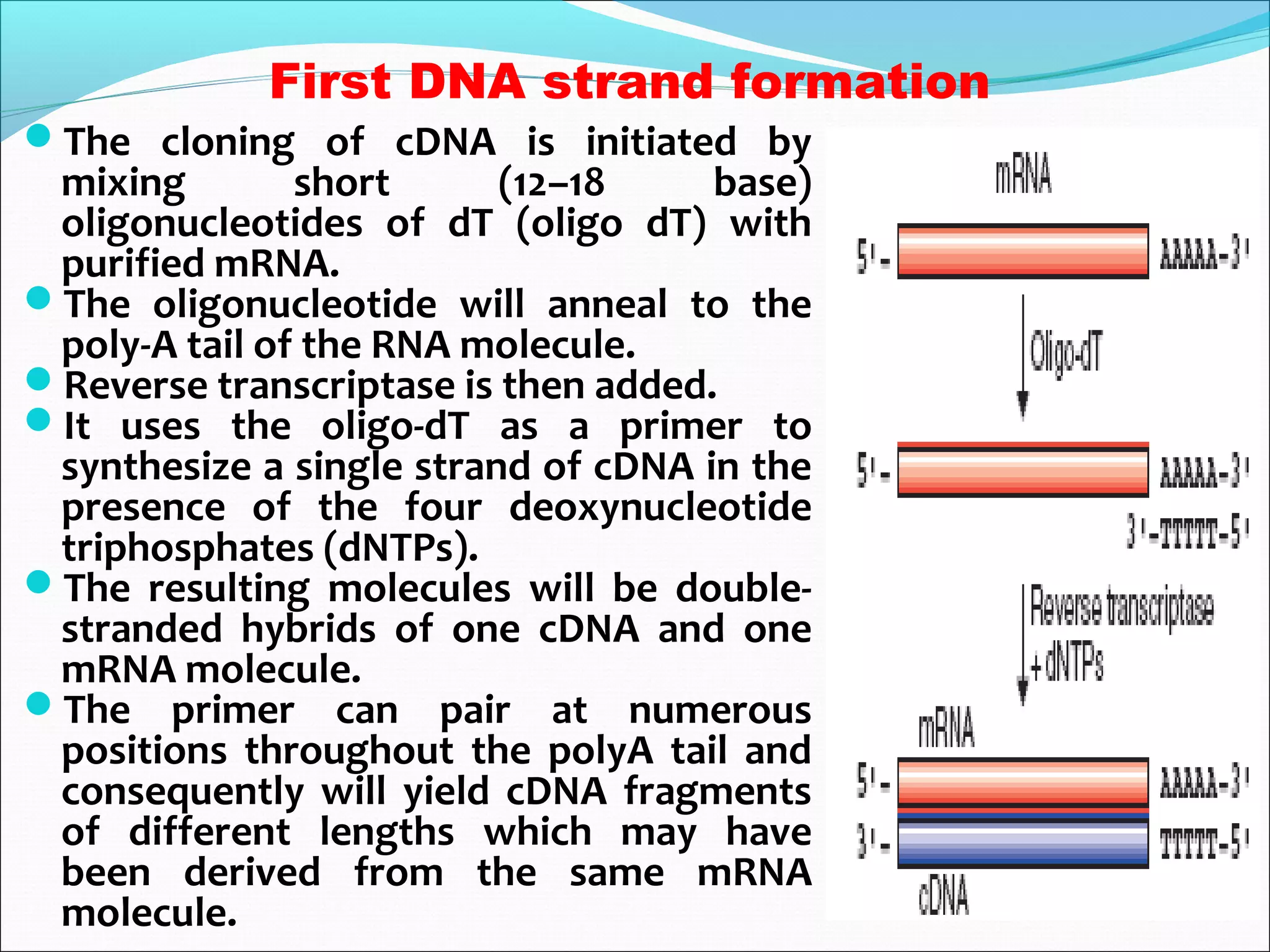 Dna libraries | PPT