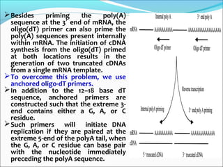 Dna libraries | PPT