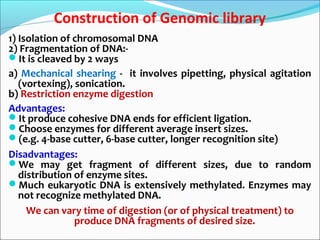 Dna libraries | PPT