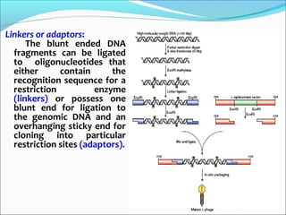 Dna libraries | PPT