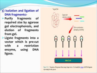 Dna libraries | PPT