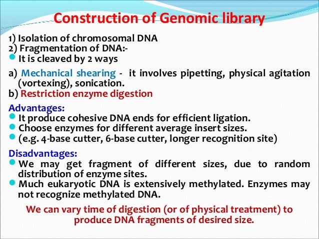 Dna libraries
