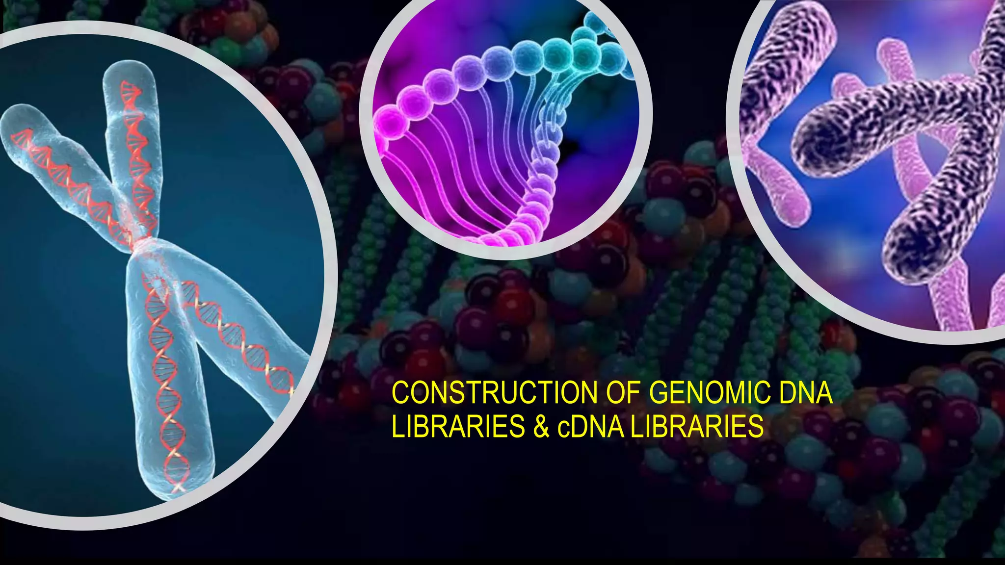 DNA libraries | PPTX