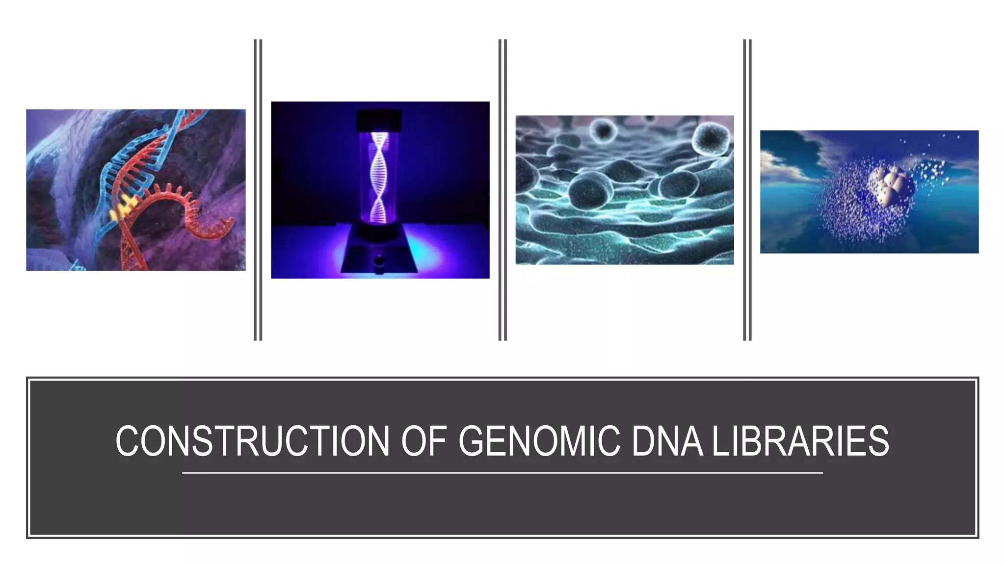 DNA libraries | PPTX