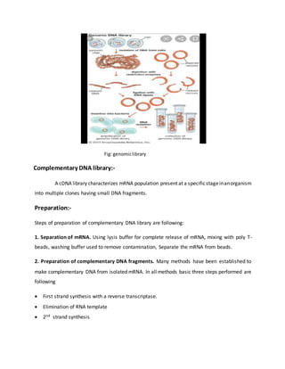 Dna libraries | DOCX | Biological Sciences | Science