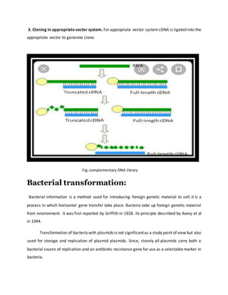 Dna libraries | DOCX | Biological Sciences | Science