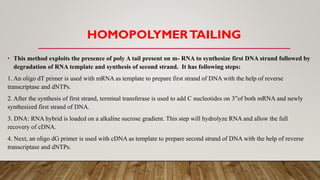 DNA Libraries / Genomic DNA vs cDNA .pdf