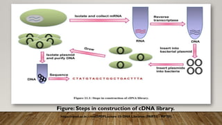 DNA Libraries / Genomic DNA vs cDNA .pdf