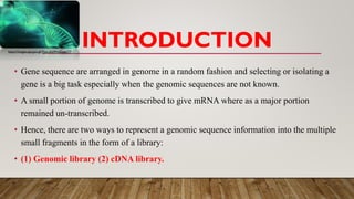DNA Libraries / Genomic DNA vs cDNA .pdf