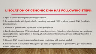 DNA Libraries / Genomic DNA vs cDNA .pdf