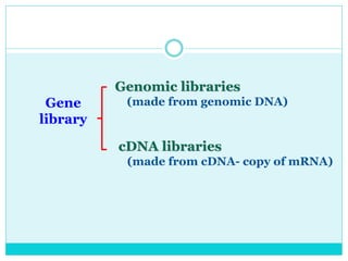 DNA library | PPT