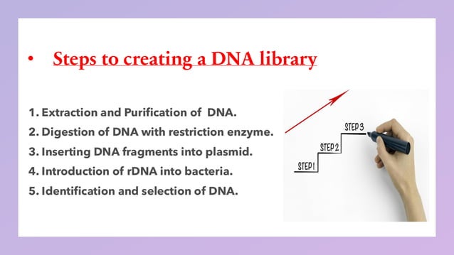 DNA library . ppt construction and application | PDF