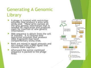 Dna library CONSTRUCTION | PPT
