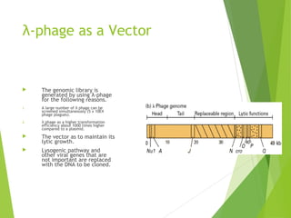 Dna library CONSTRUCTION | PPT