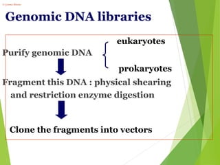 Dna library CONSTRUCTION | PPT