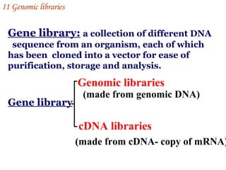 Dna library lecture-Gene libraries and screening | PPT