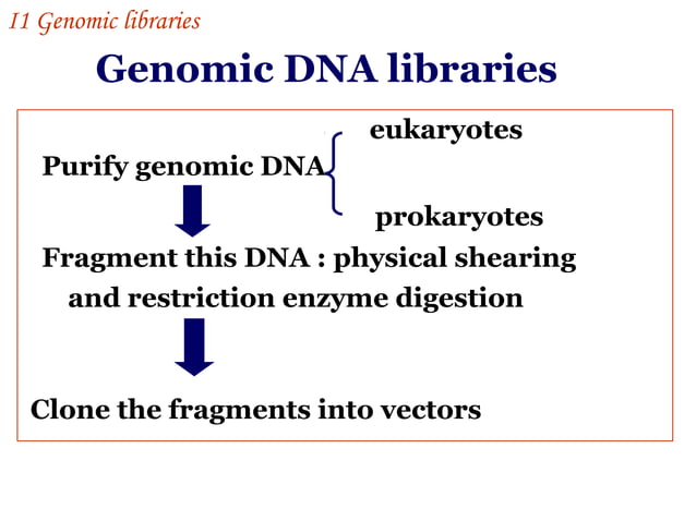 Dna library lecture-Gene libraries and screening | PPT