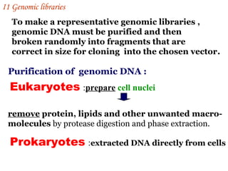 Dna library lecture-Gene libraries and screening | PPT