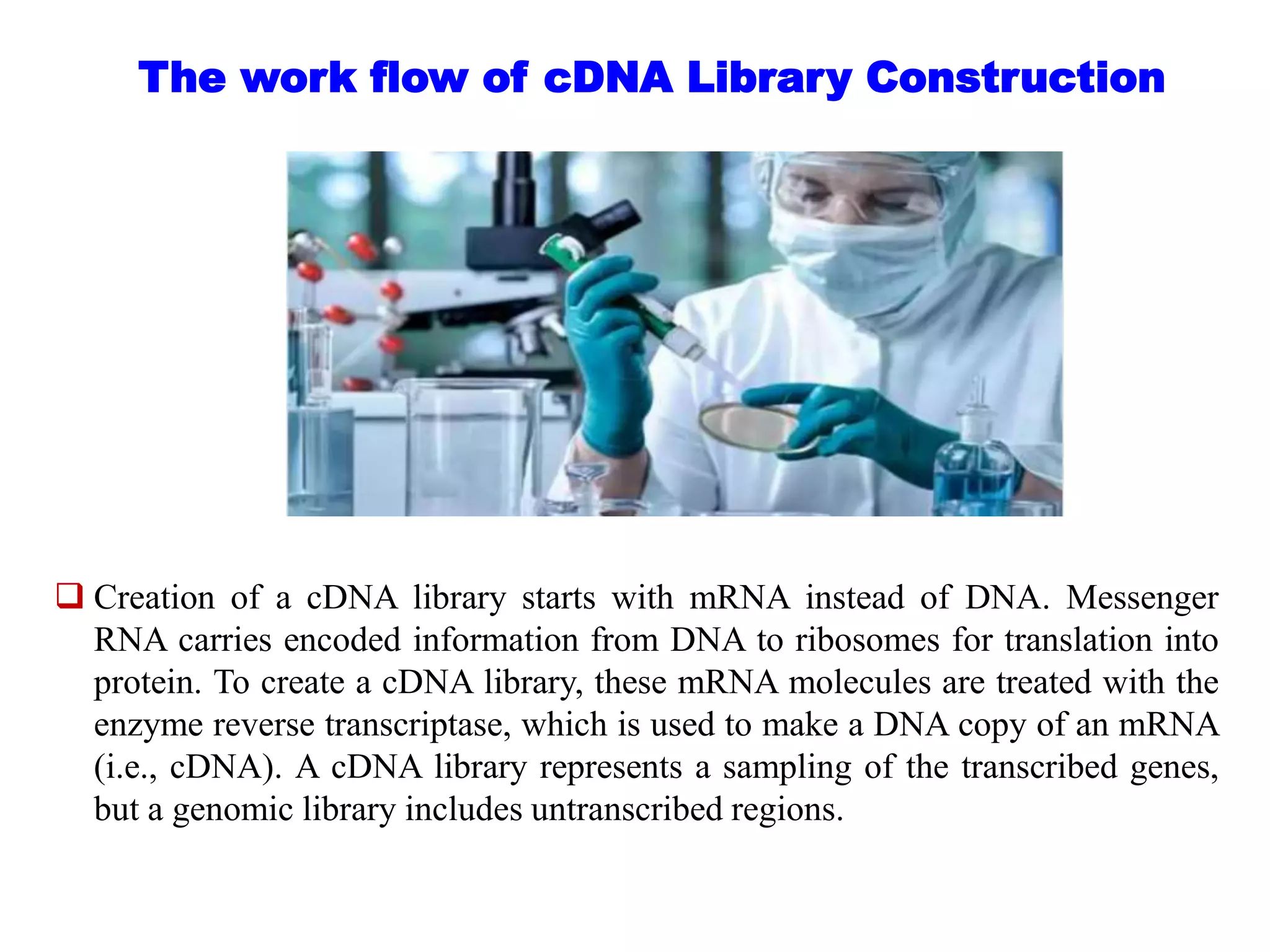DNA library ppt.pptx