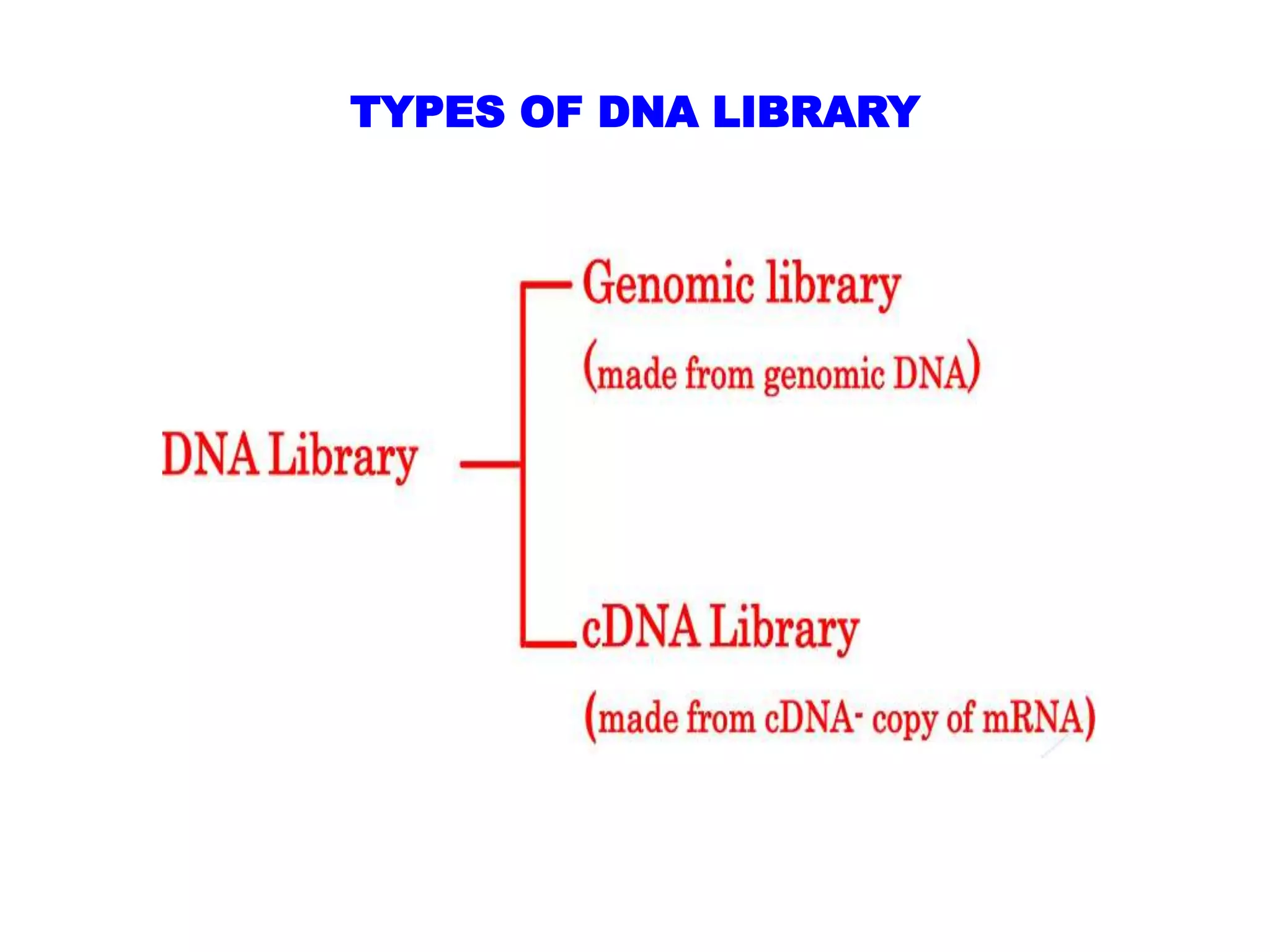 DNA library ppt.pptx