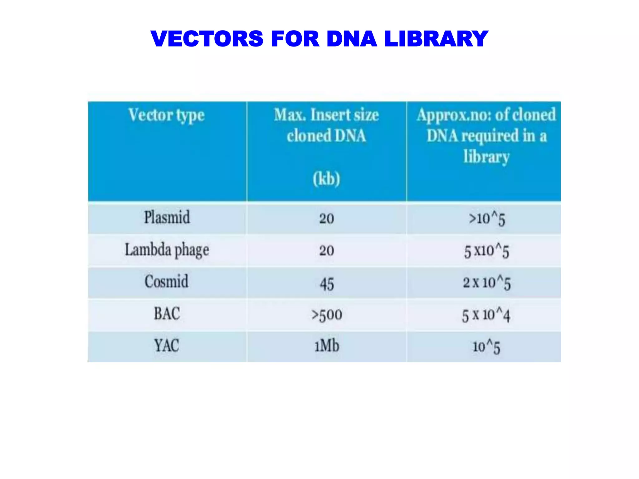 DNA library ppt.pptx