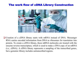 DNA library ppt.pptx