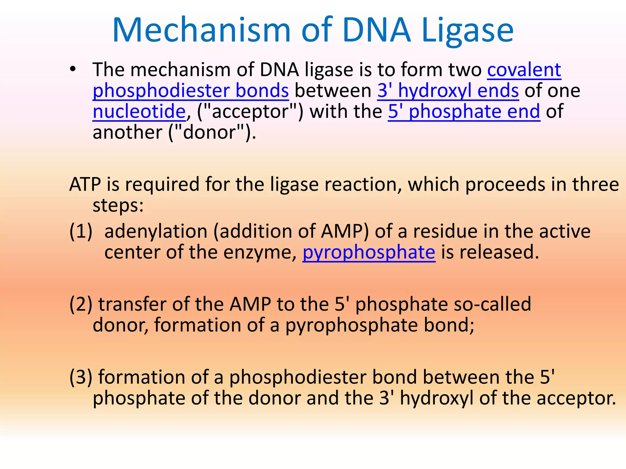 Dna ligase | PPTX