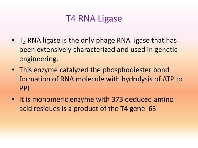 Dna ligase | PPTX