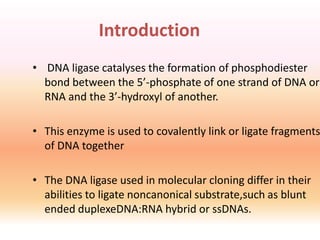 Dna ligase | PPTX
