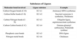 DNA Ligase.pptx biotechnology notes for students | PPTX