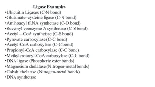 DNA Ligase.pptx biotechnology notes for students | PPTX