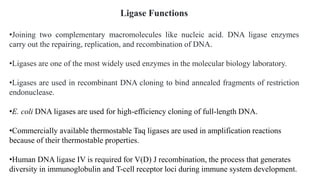 DNA Ligase.pptx biotechnology notes for students | PPTX