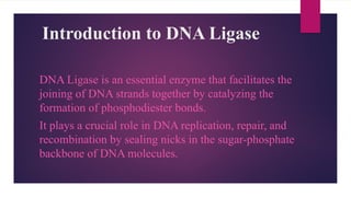 DNA LIGASE brief presentation slide.pptx