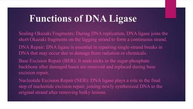 DNA LIGASE brief presentation slide.pptx