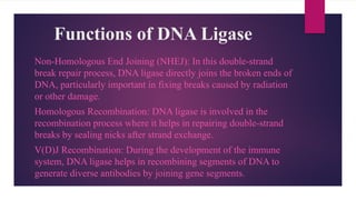 DNA LIGASE brief presentation slide.pptx