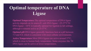 DNA LIGASE brief presentation slide.pptx