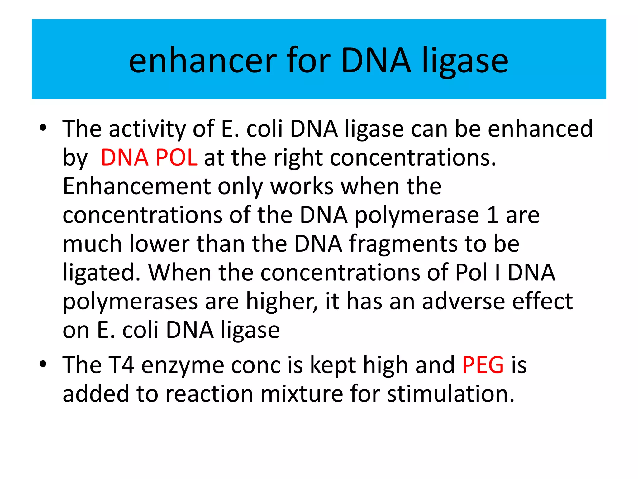 DNA ligase enzymes | PPT
