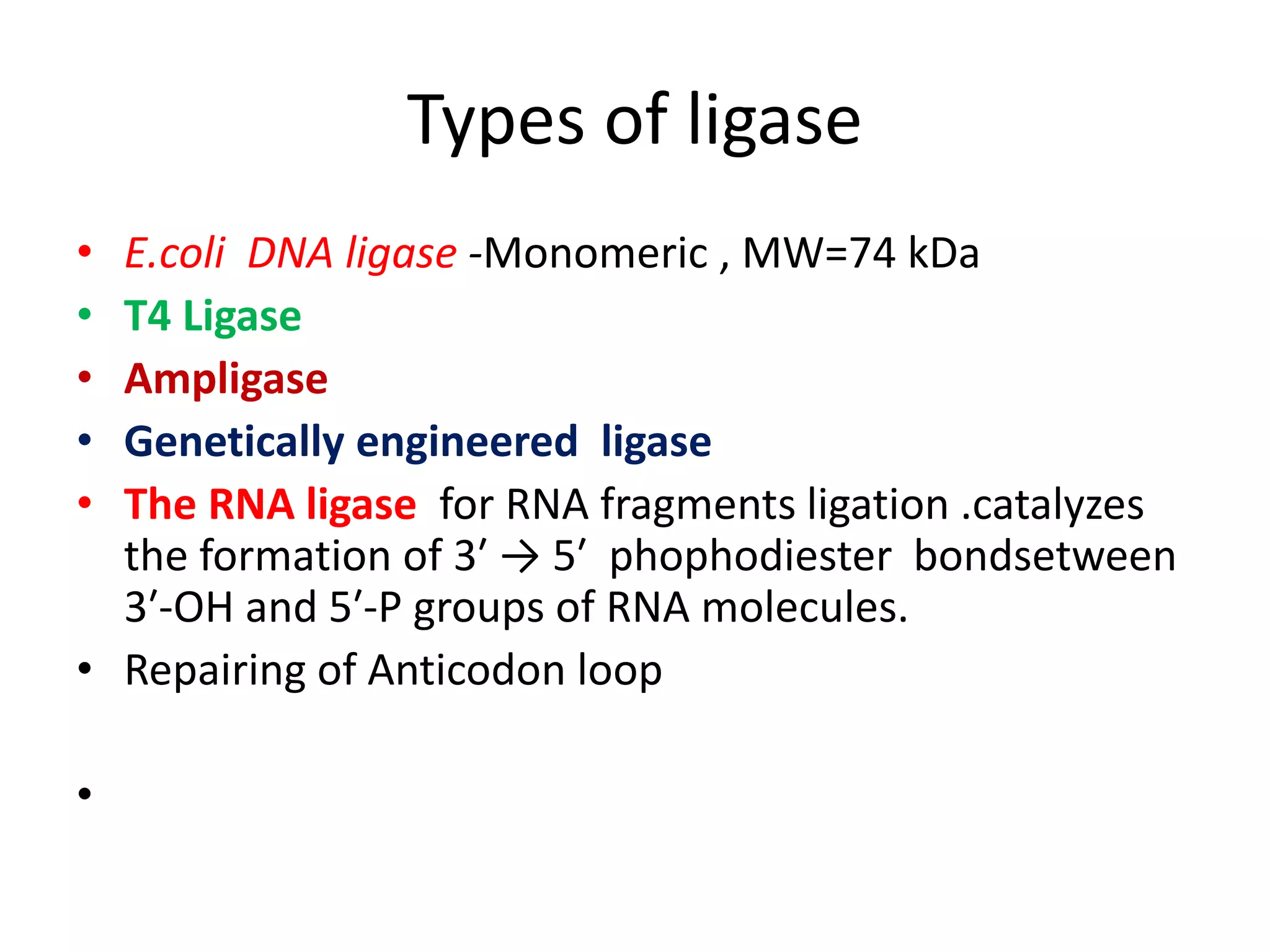 DNA ligase enzymes | PPT